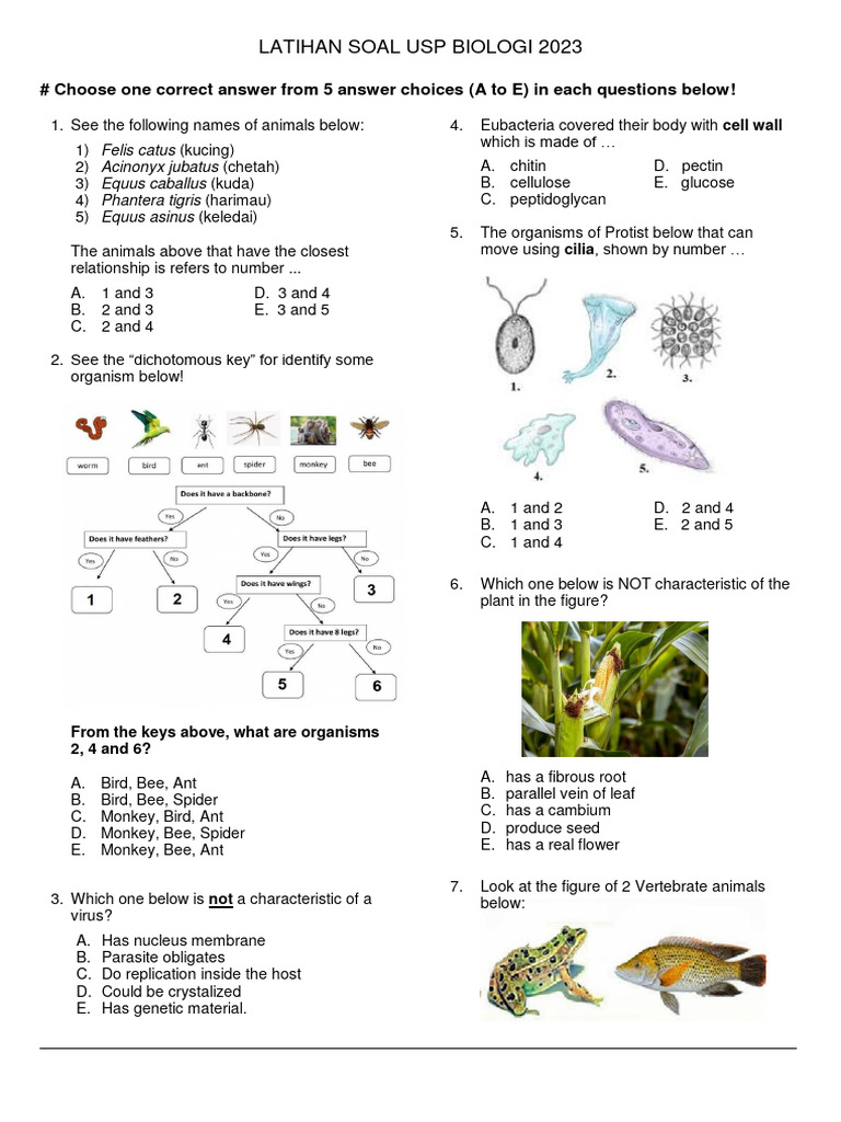 Latihan Soal Usp Biologi 2024 | PDF | Metabolism | Glycolysis