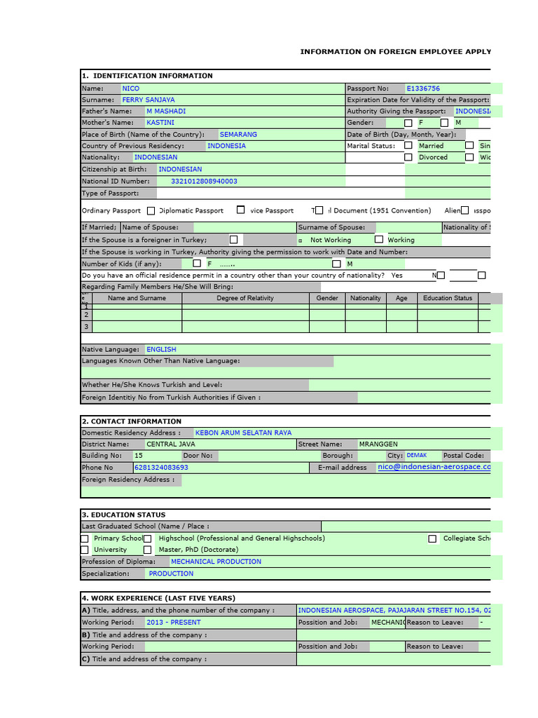Work Permit Application Information Form NICO 150055 | PDF | Passport ...