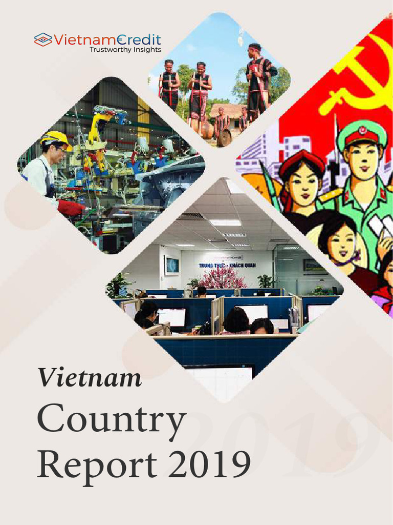 Vietnam Country Report 2019 Overview | PDF | Tax Exemption | Security