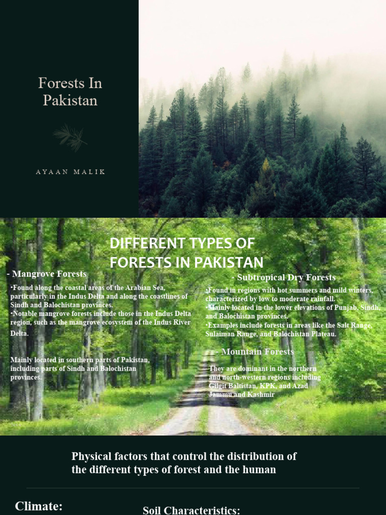 Forests in Pakistan | PDF | Deforestation | Forests