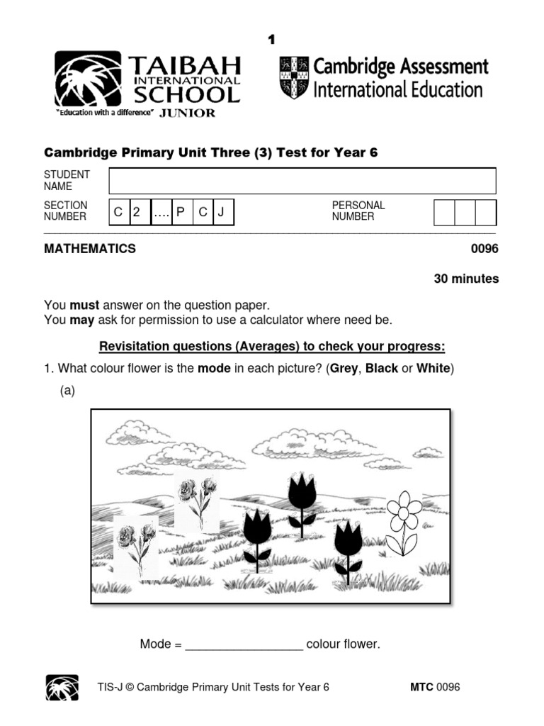 Yr 6 Unit 3 Test (Averages) | PDF | Mean | Mathematics