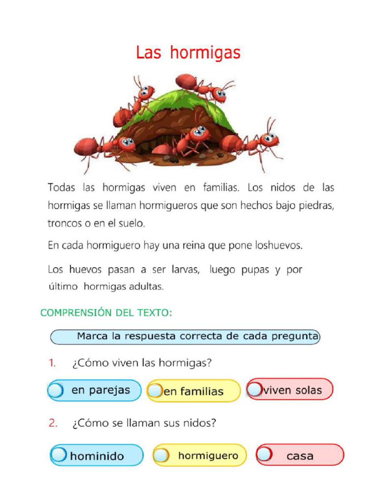 Comprensión Lectora La Hormiga | PDF