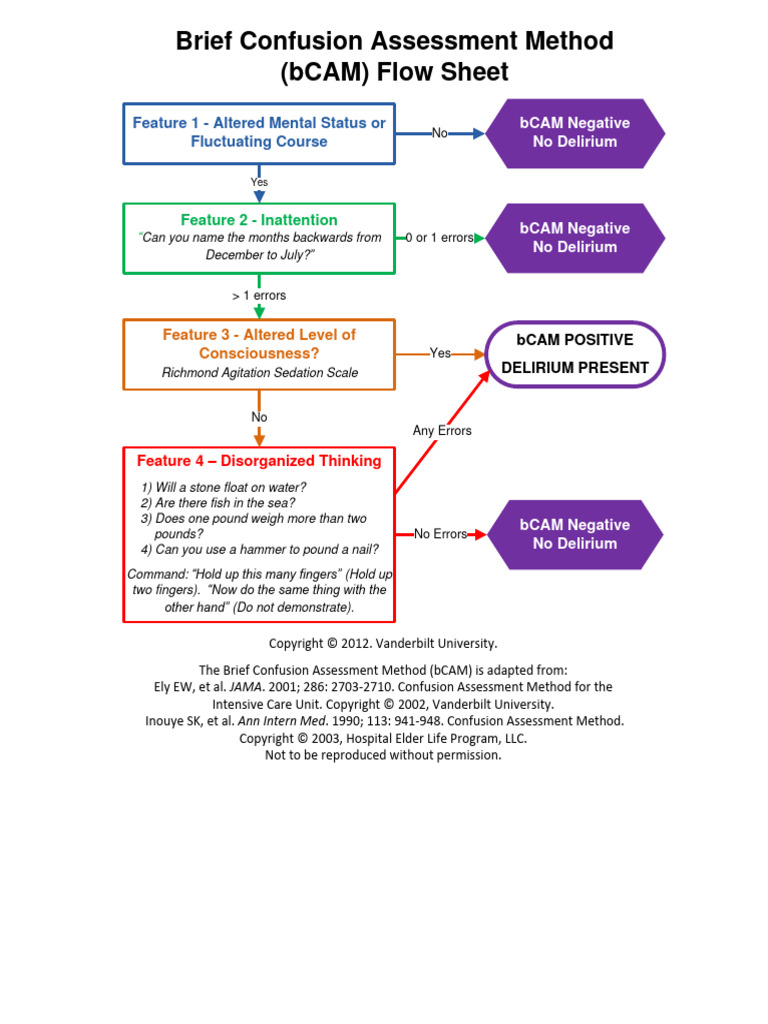 Bcam Flowsheet Color Pdf