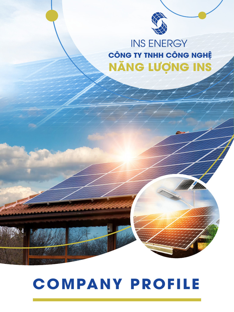 INS - Company Profile | PDF