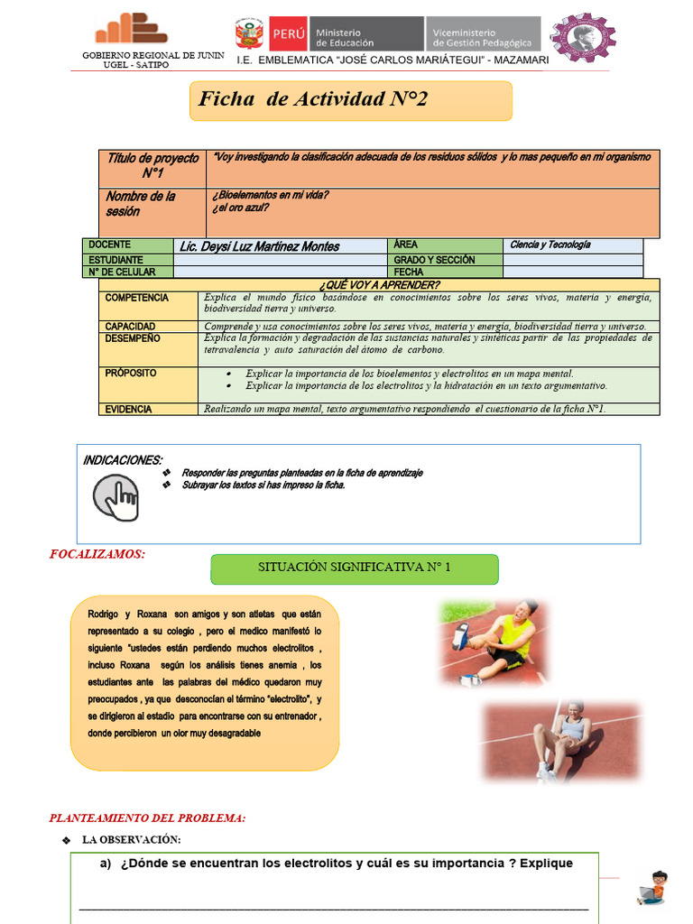 Importancia de Bioelementos y Electrolitos | PDF | Homeostasis ...