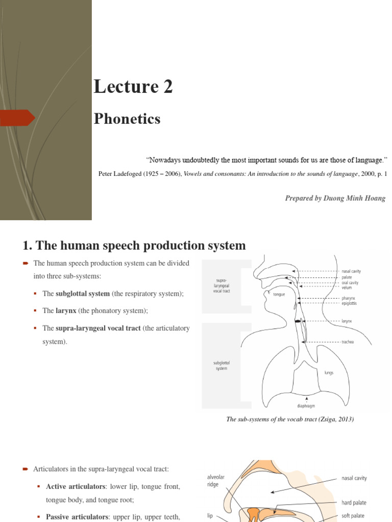 Lecture-2-Phonetics | PDF | Human Voice | Human Throat