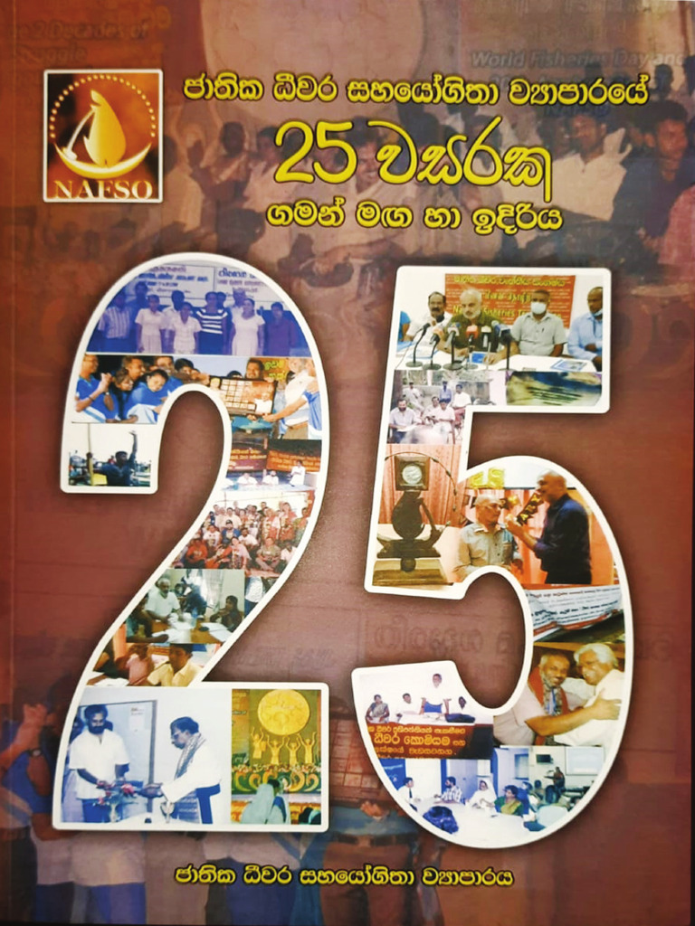 NAFSO 25th History 2023.11.12 Original FInal With Cover | PDF