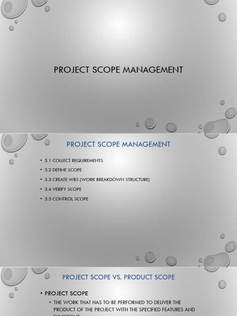 Project-Scope | PDF | Project Management | Computing