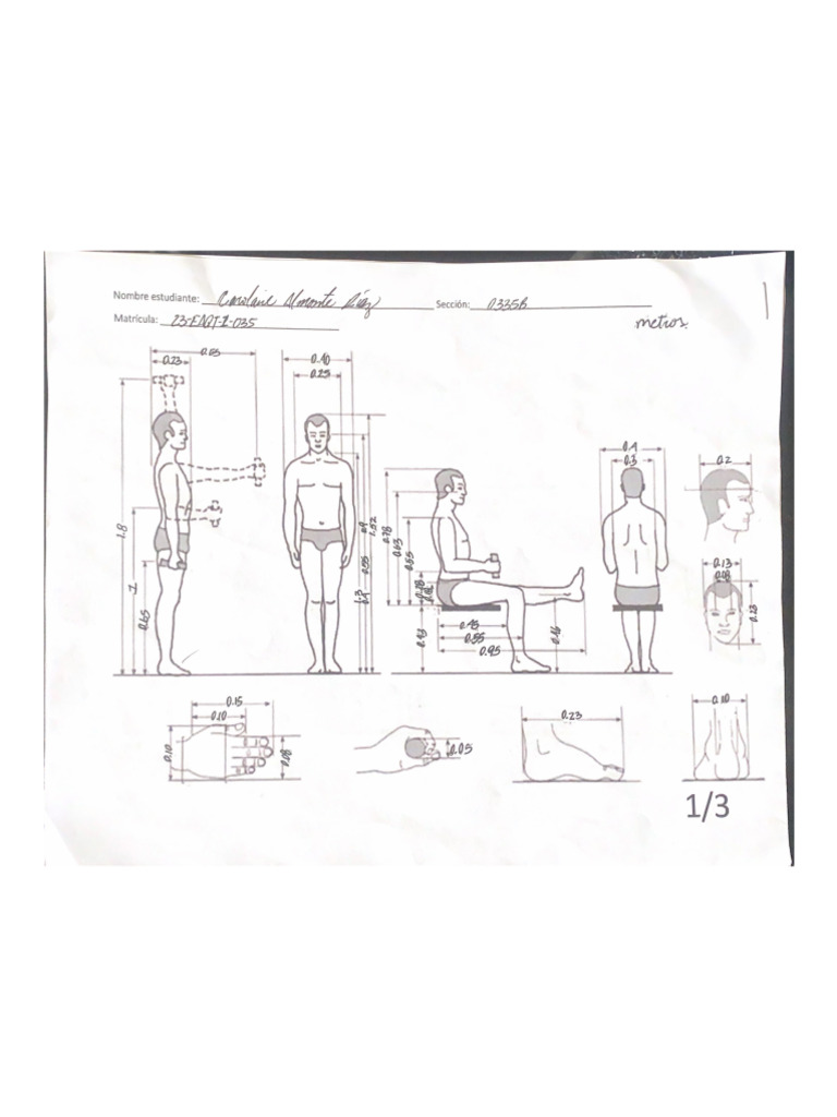 Antropométria | PDF