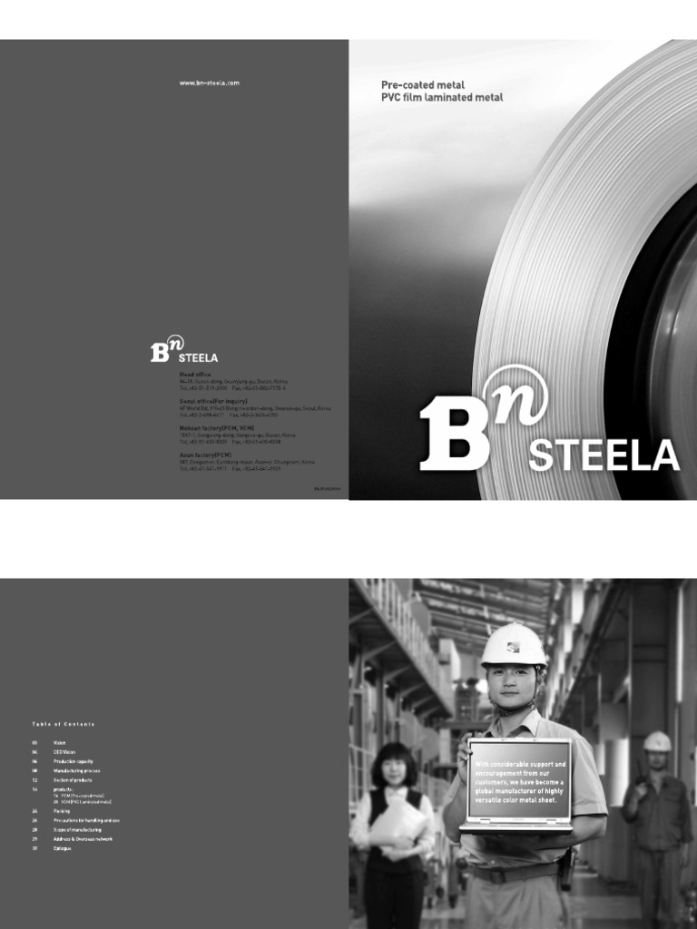 BN Steela | PDF