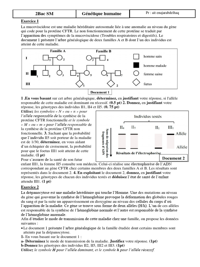 Exercice 1 Genetique Humaine | PDF | Génotype | Dominance (Génétique)