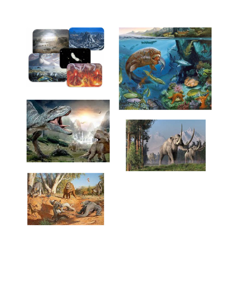 Imagenes de Historia | PDF