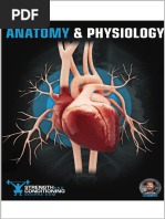 Sacral OMM Guide | PDF | Anatomical Terms Of Motion | Human Anatomy