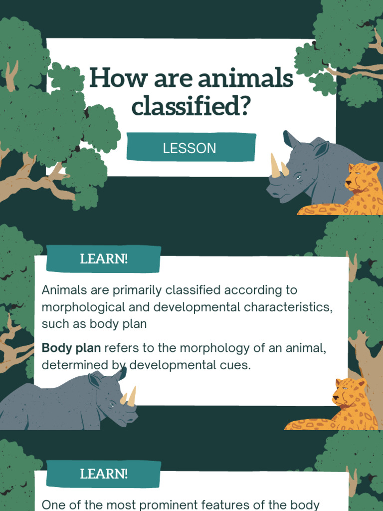 Lesson How Are Animals Classified | PDF | Developmental Biology | Anatomy