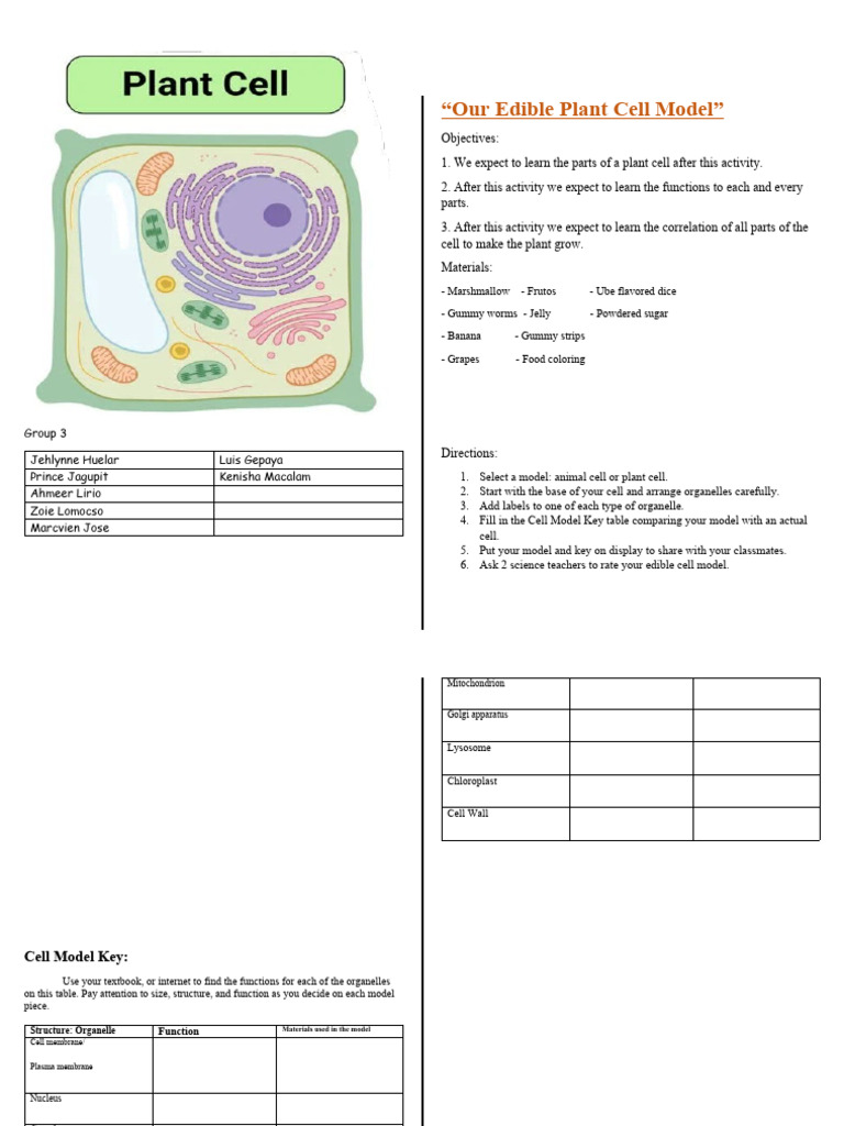 Cell Model Rubric and Model Key | PDF | Cell (Biology) | Organelle