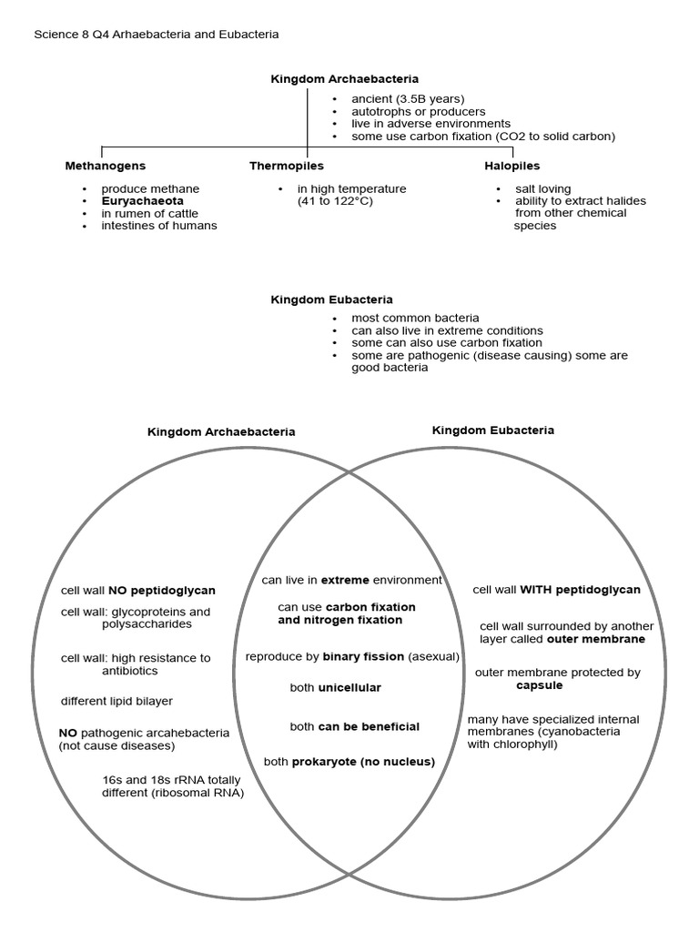 Archaebacteria And Eubacteria Pdf Archaea Bacteria 4092