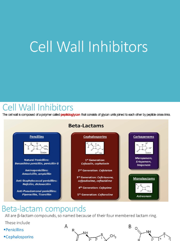 Cell Wall Inhibitors | PDF