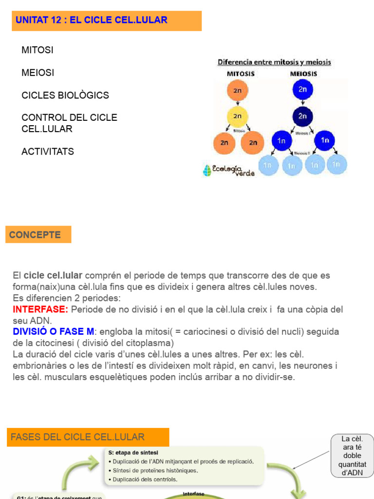 Unitat 12 - Cicle Cel - Lular | PDF