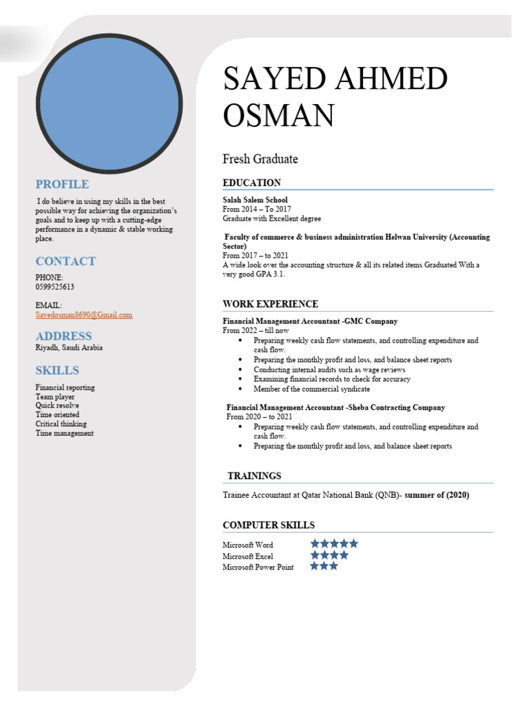 Fresh Graduate Accountant Profile | PDF | Financial Statement ...