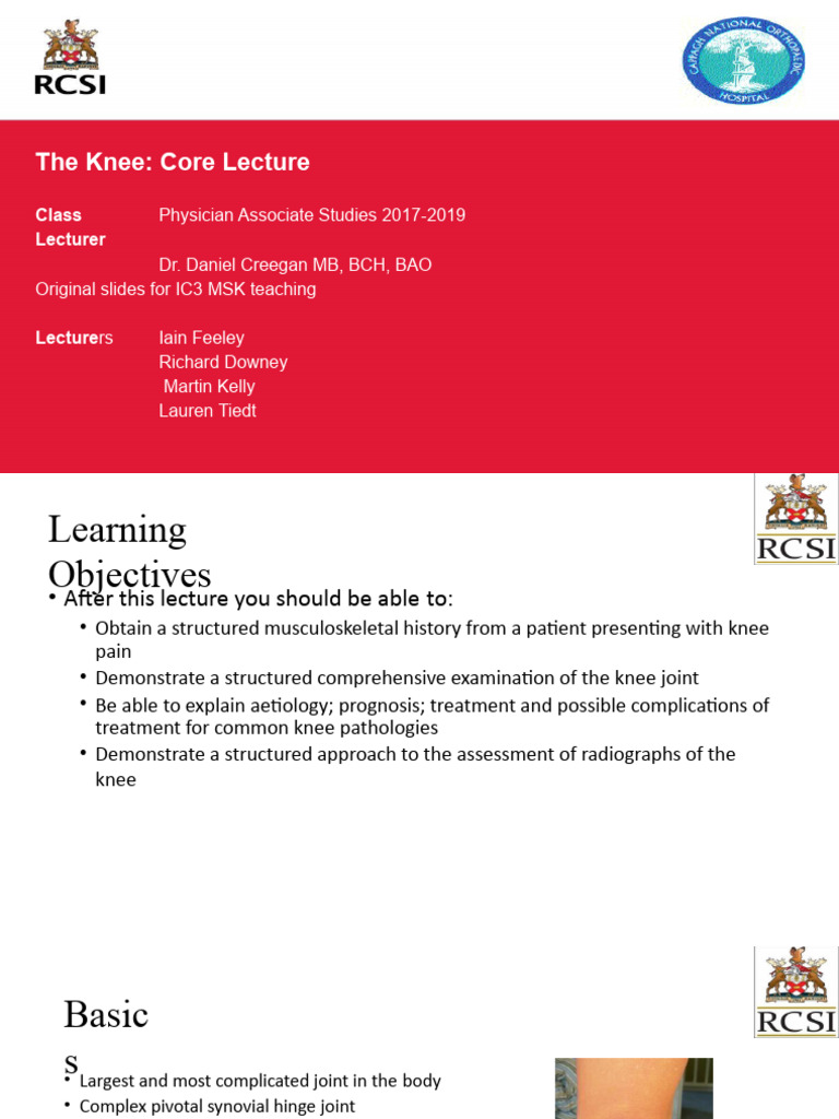 The Knee | PDF | Knee | Musculoskeletal System