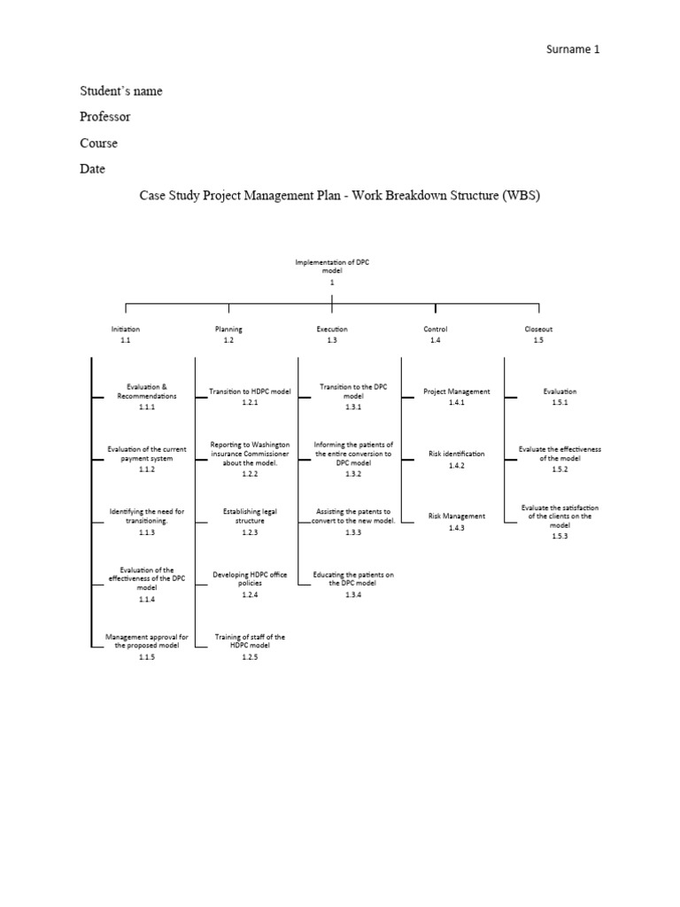 DPC Model Implementation Project Plan | PDF | Project Management | Business