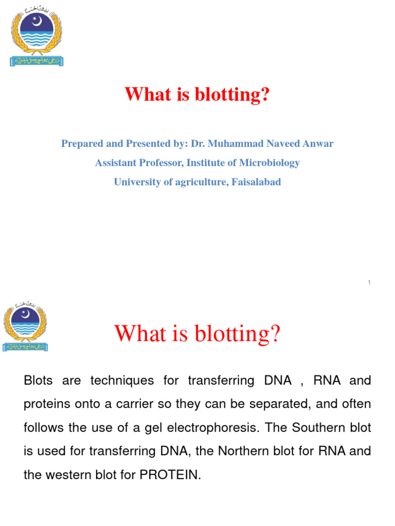 Northern and Southern Blotting | PDF | Southern Blot | Blot (Biology)