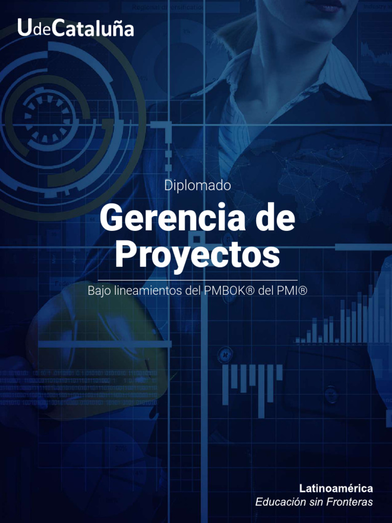 Diplomado Gerencia De Proyectos Bajo Lineamientos Del Pmbok Del Pmi