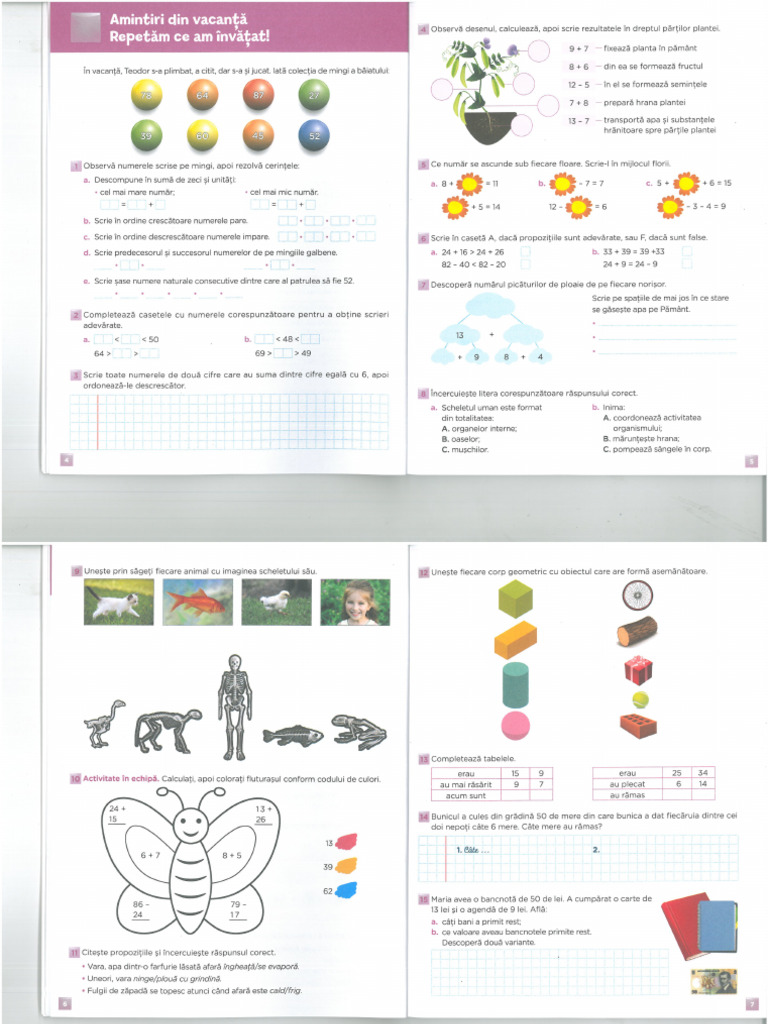Caietul Elevului MEM (2) | PDF