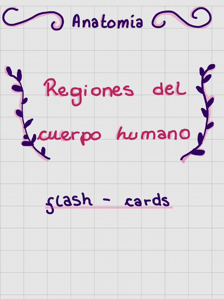 Flashcards Anatomia 230901 150736 Pdf