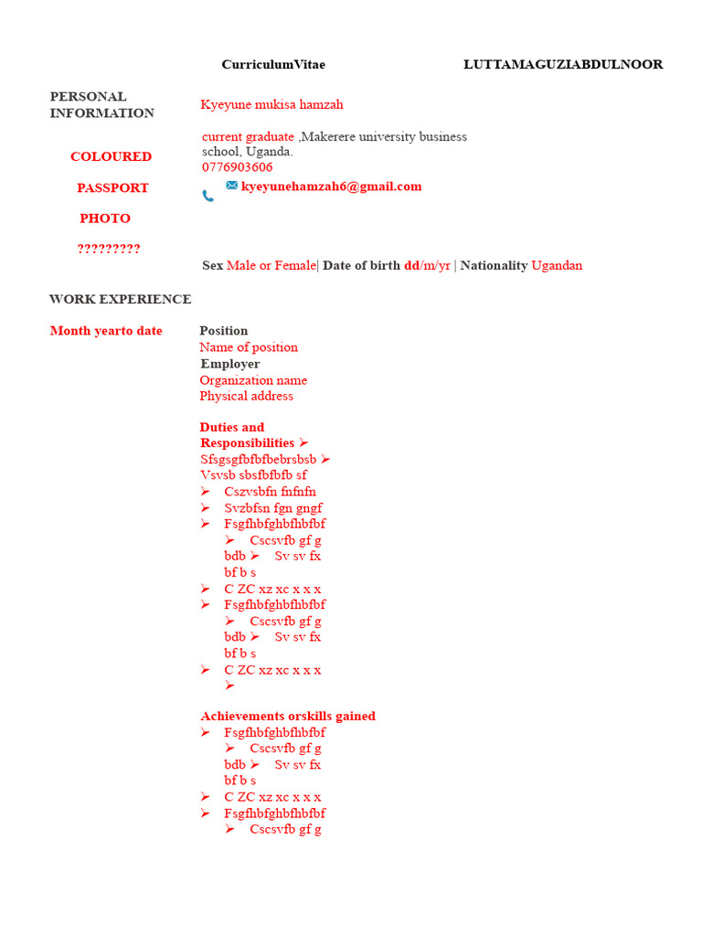 CV template Luttamaguzi edit | PDF | Computing