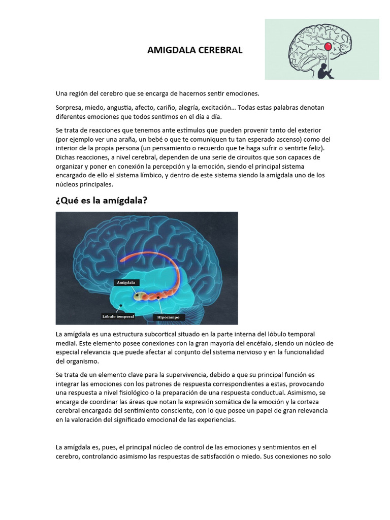 Amigdala Cerebral - Rui Montero Paolo Cesar | PDF | Las emociones ...