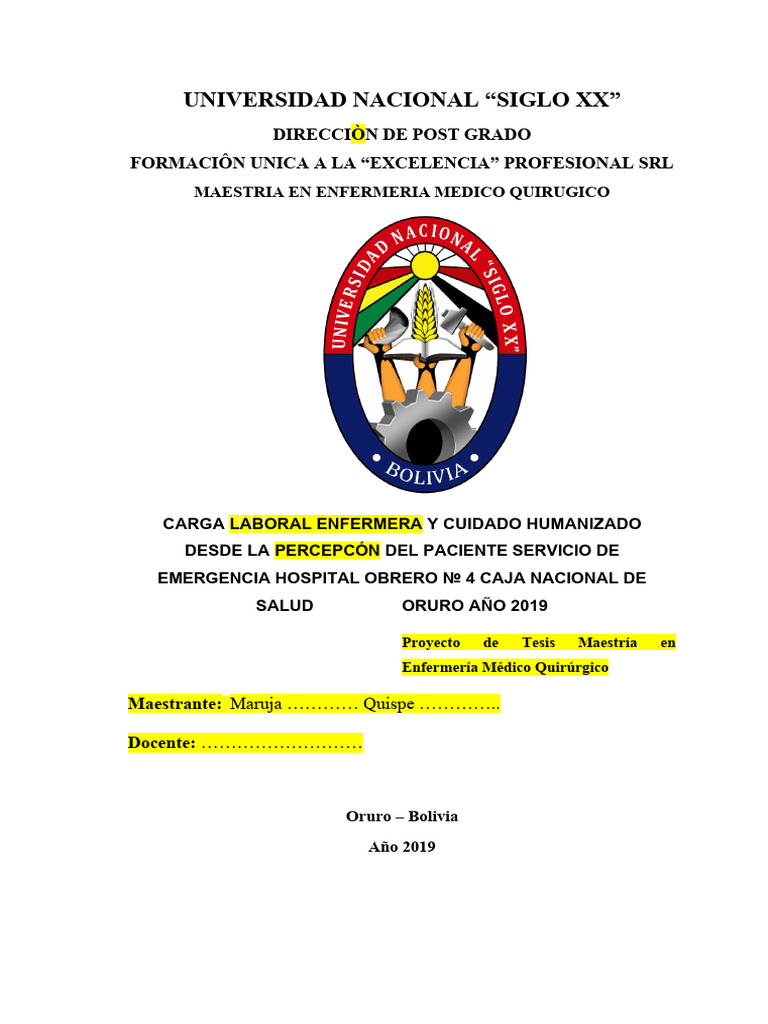 Maruja Quispe | PDF | Enfermería | Hospital