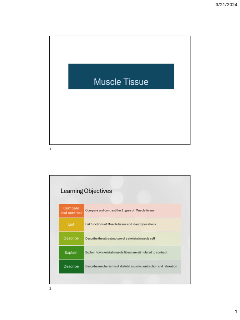 Muscle Tissue | PDF | Muscle Contraction | Muscle