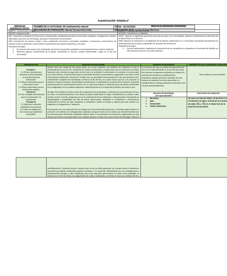 Primavera9, Presentaciones Yerbas Medicinales | PDF | Aprendizaje | Educación de la primera infancia