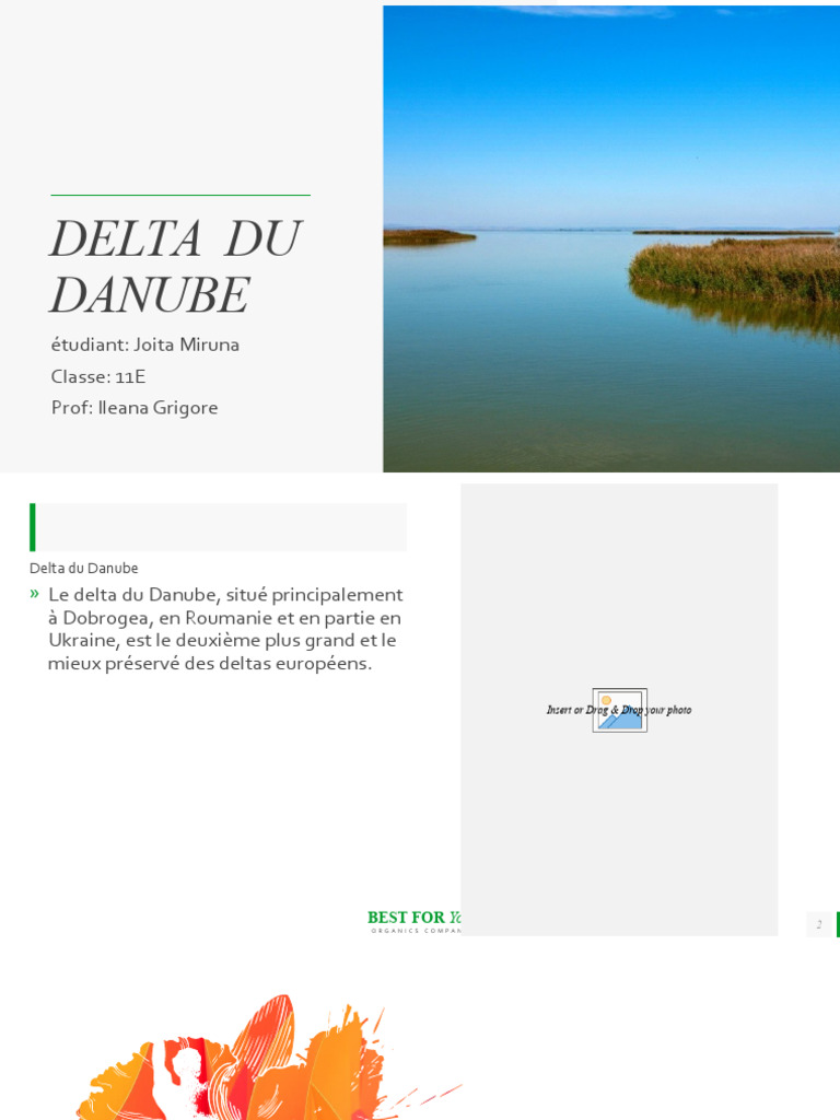 Delta Du Danube | PDF