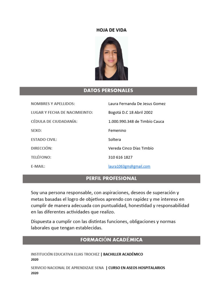 X5 Formato Hoja de Vida Basica y Formal | PDF