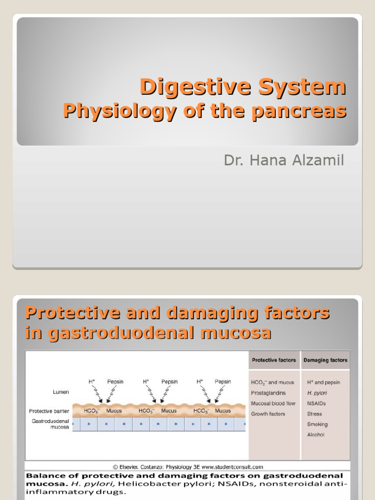4) GIT Pancreatic Secretion Medical Final 1439 | PDF | Pancreas | Digestion