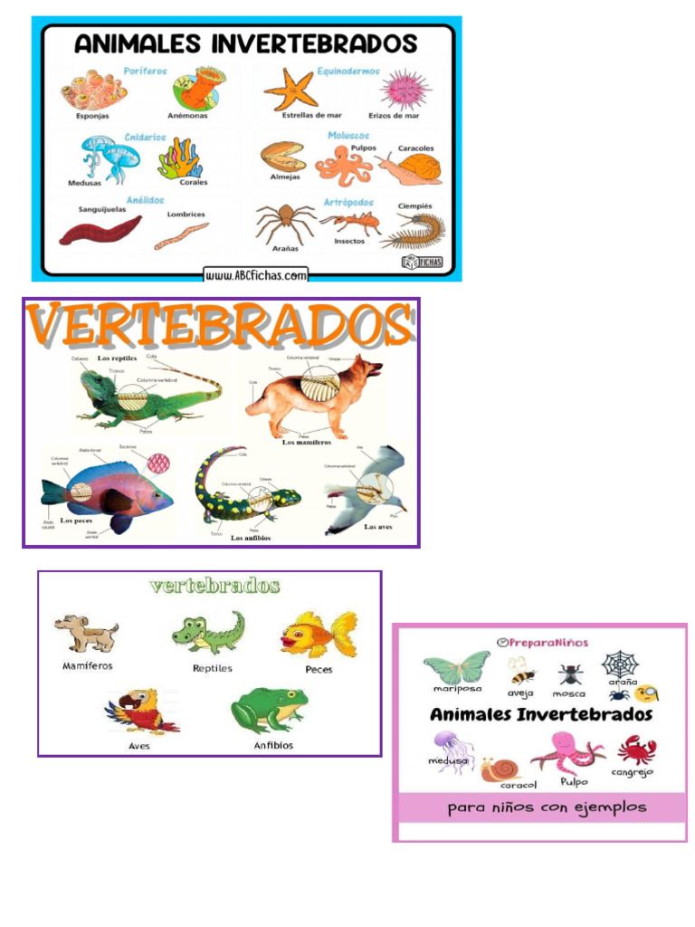 Animales Vertebrados e Invertebrados | PDF
