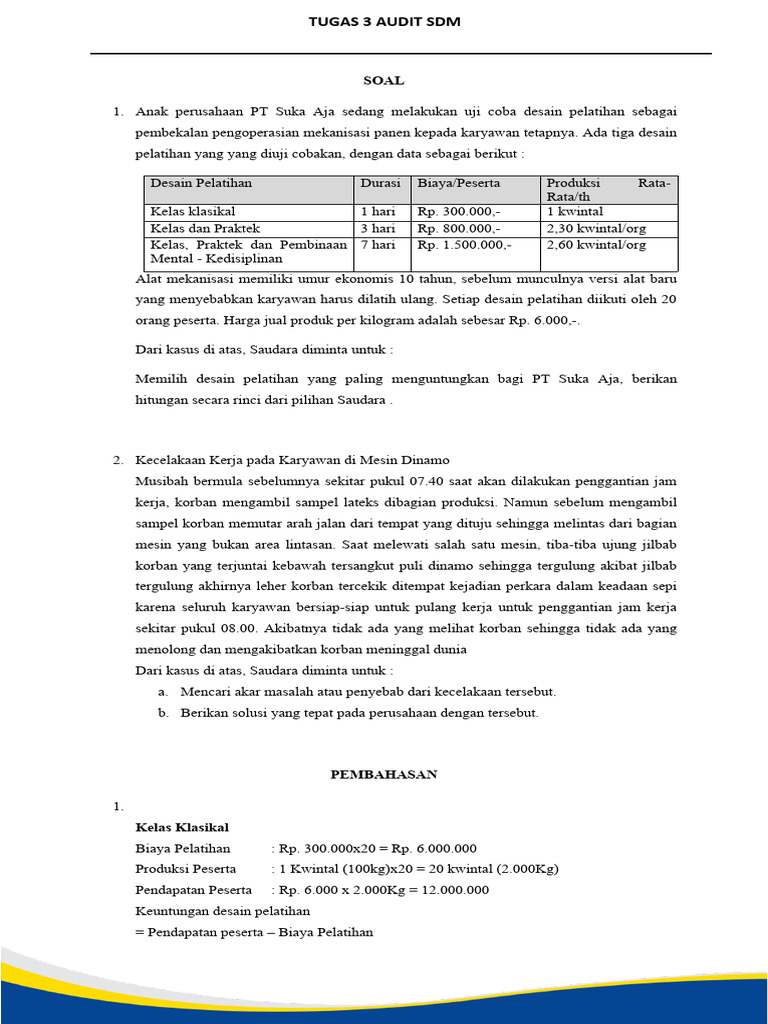 Tugas 3 Audit SDM | PDF