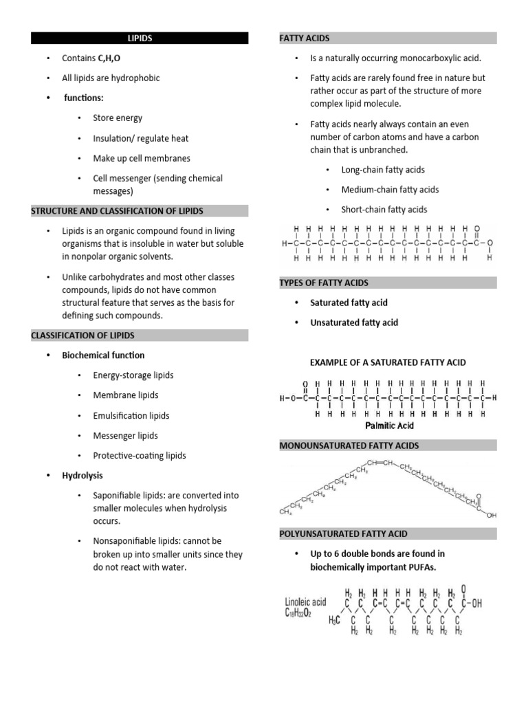 LIPIDS | PDF | Fatty Acid | Lipid