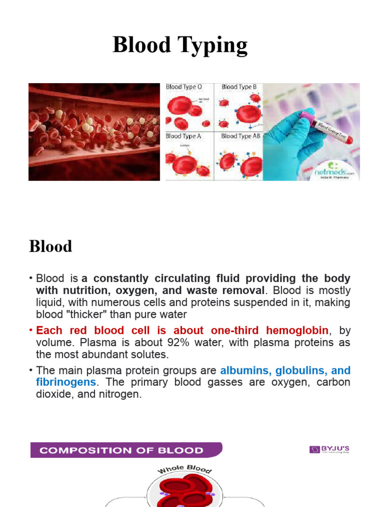 Blood Typing | PDF | Blood Type | Antibody