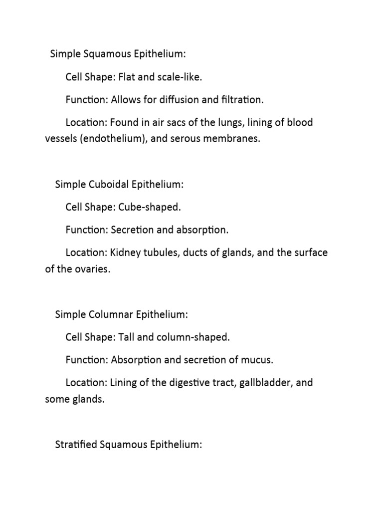 Simple Squamous Epithelium | PDF | Epithelium | Nervous System