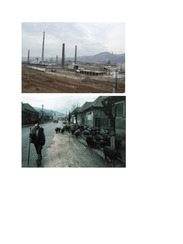 Copsa Mica | PDF