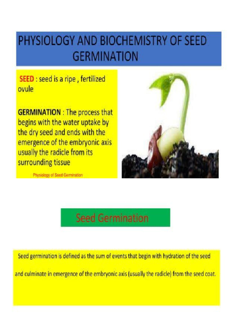 Physiology and Biochemistry of Seed Germination | PDF