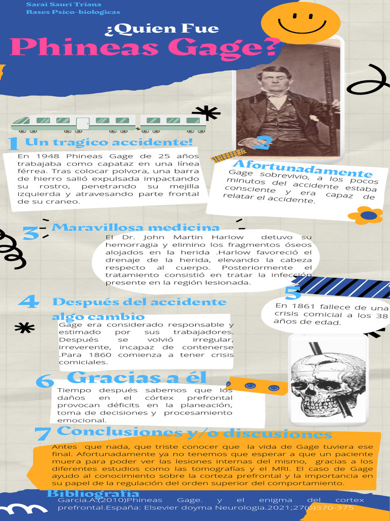 InfografÃ - A Phineas Gage | PDF | Neurociencia | Medicina CLINICA