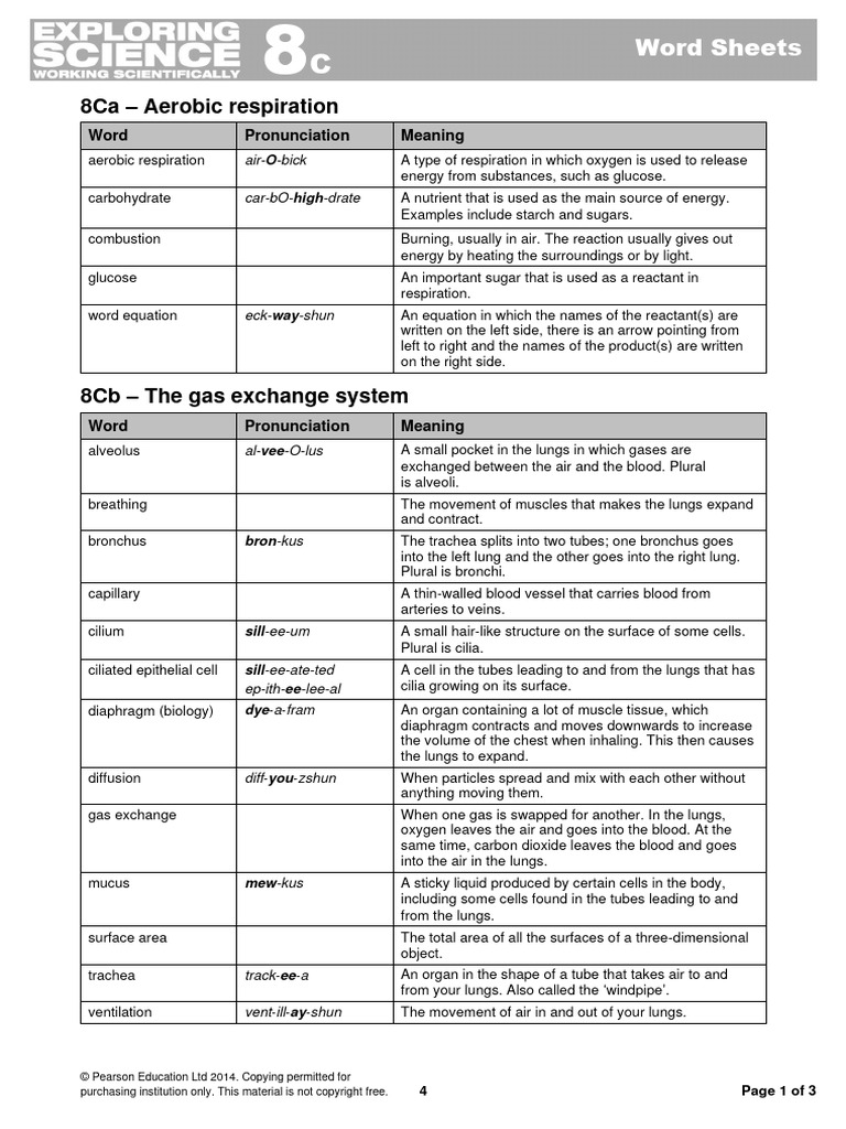 8c Word Sheets | PDF | Lung | Respiratory System