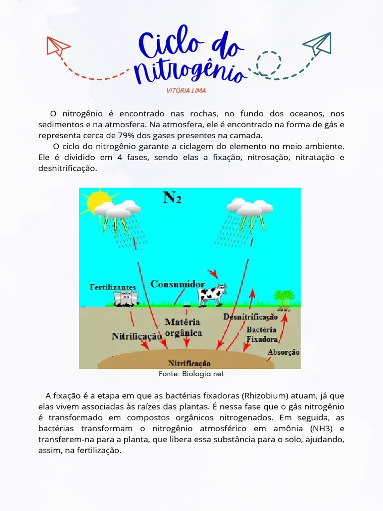 Ciclo do Nitrogênio | PDF