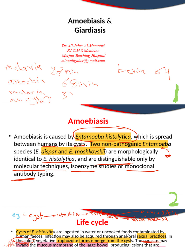 10 Amoebiasis | PDF | Medical Specialties | Diseases And Disorders