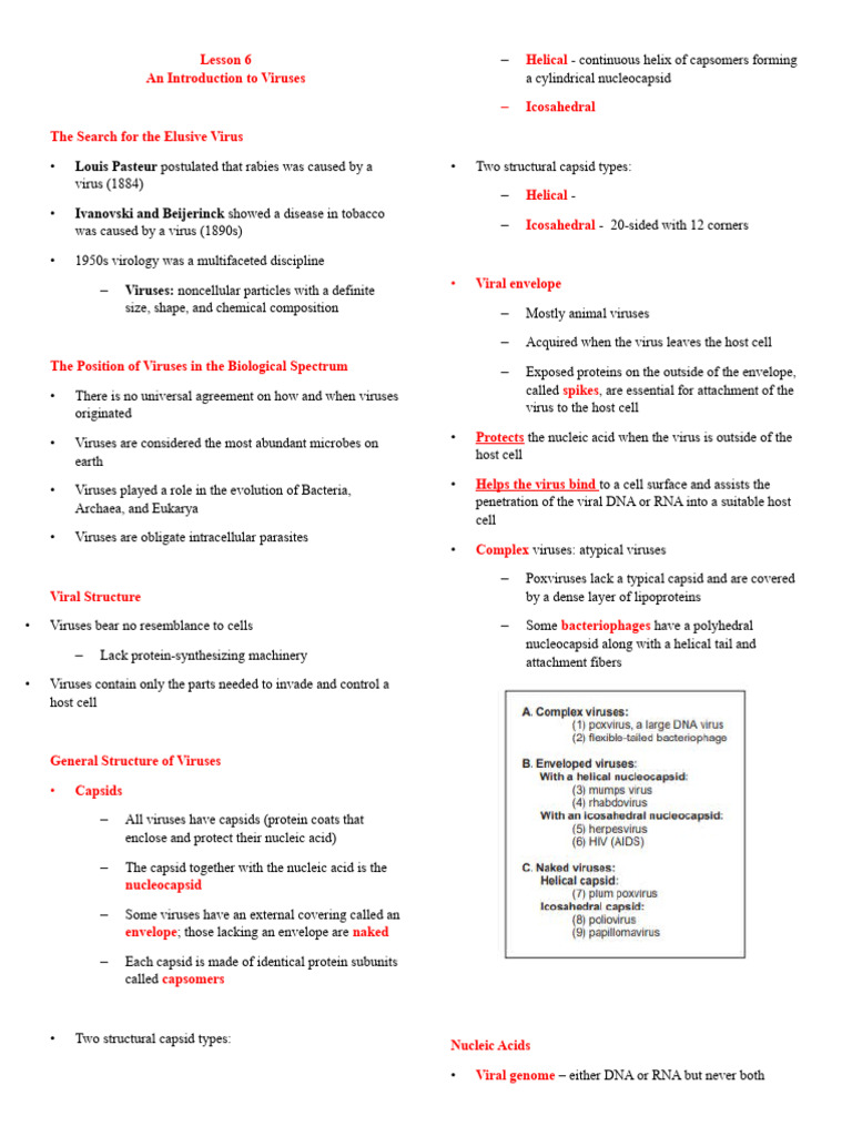 2 1 Lesson 6 And 7 Pdf Virus Nutrition
