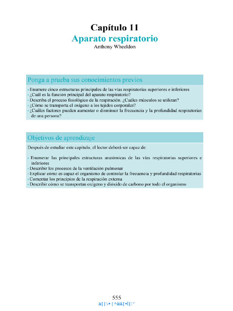 Sistema Respiratorio | PDF